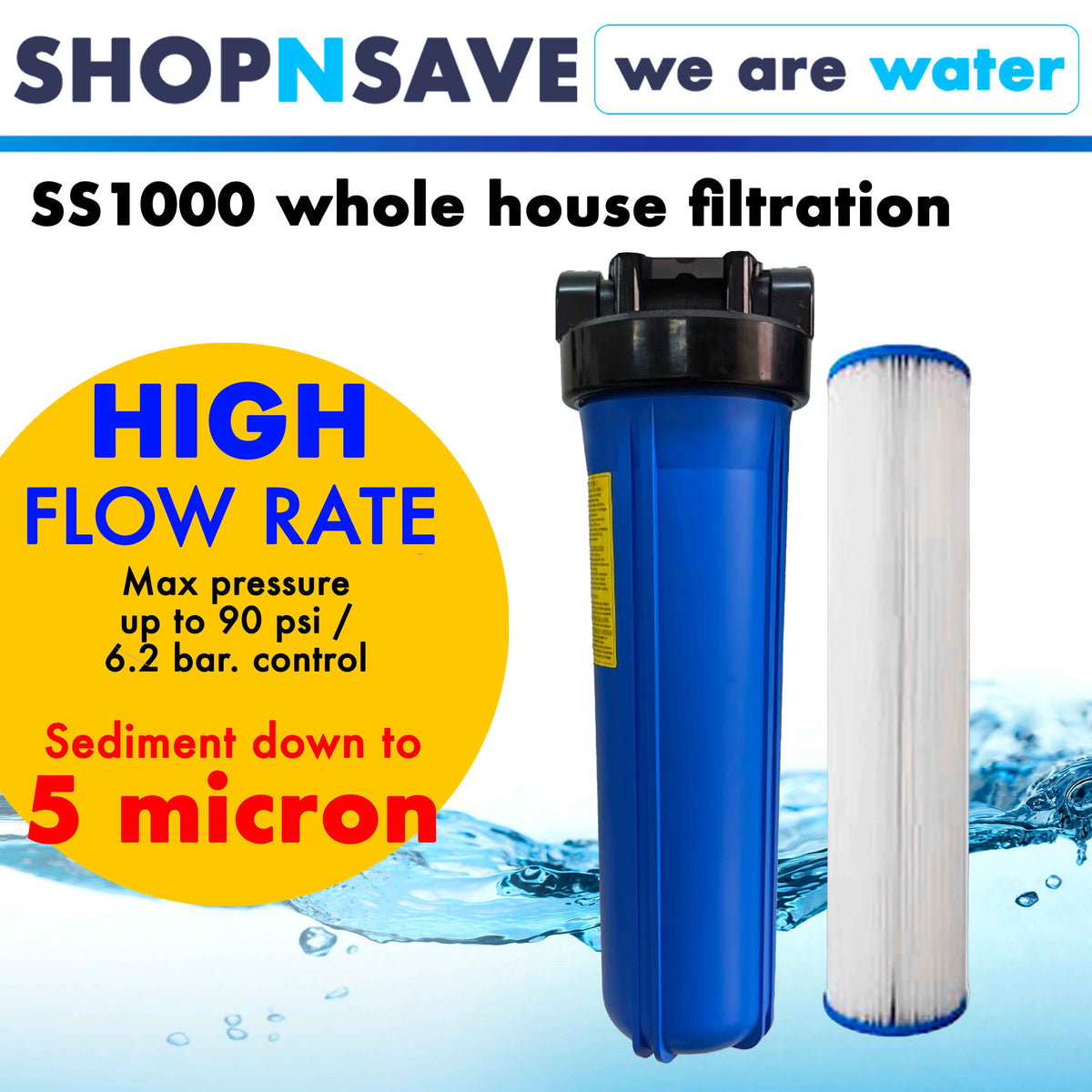 SS1000 Whole House Filtration Water Filtration System with 10" Pleated ...